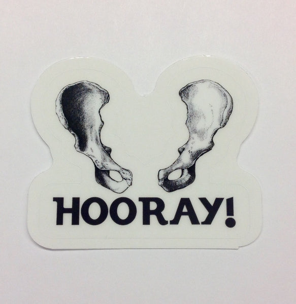 Hip Hip Hooray - Sticker – SCU Campus Store